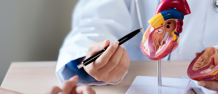 Percutaneous Coronary Intervention (PCI) Procedure Explained | Monash ...